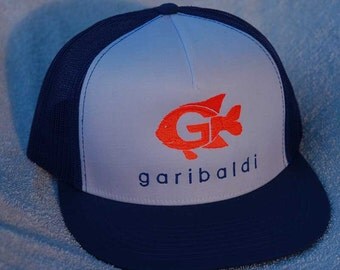 Garibaldi fish | Etsy