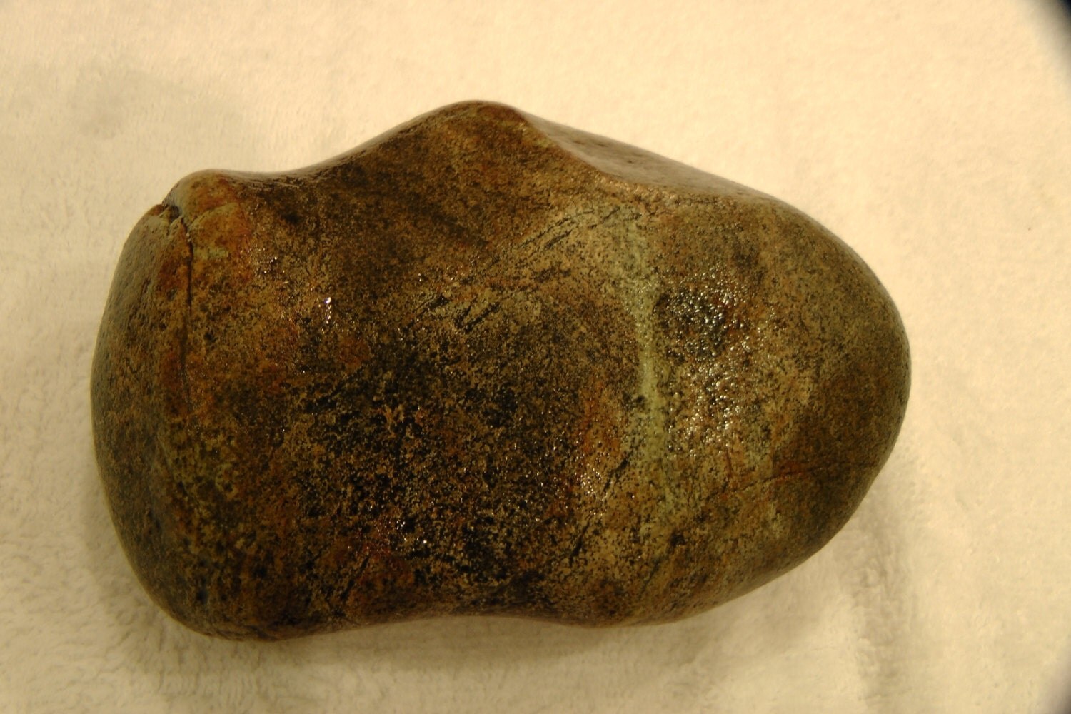 Whole Agatized and Petrified Whale Bone: by EmbeddedInResin