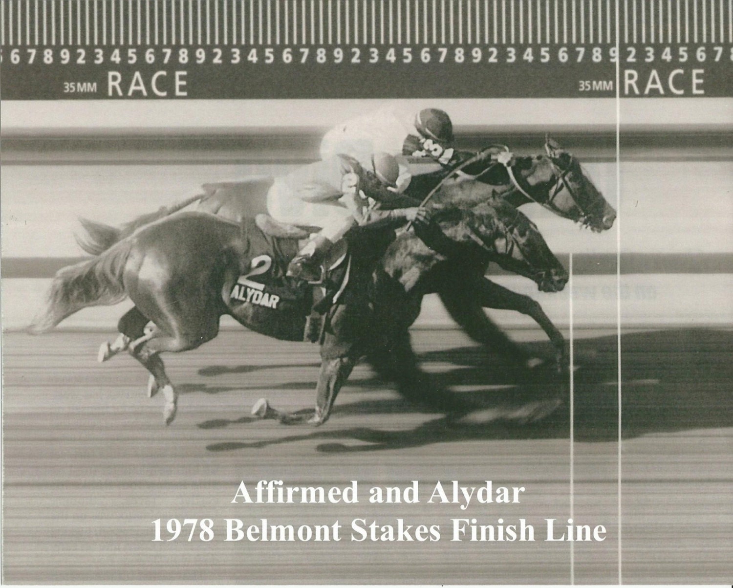 Affirmed & Alydar 1978 Belmont Stakes Finish Line Camera Photo