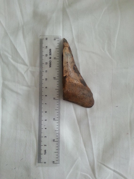 Items similar to Native American skinning/scraping tool (a perfect half ...