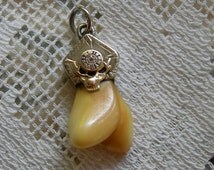 Popular items for elk teeth on Etsy