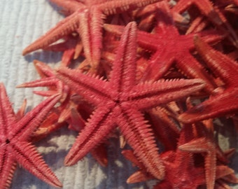 Dyed starfish | Etsy