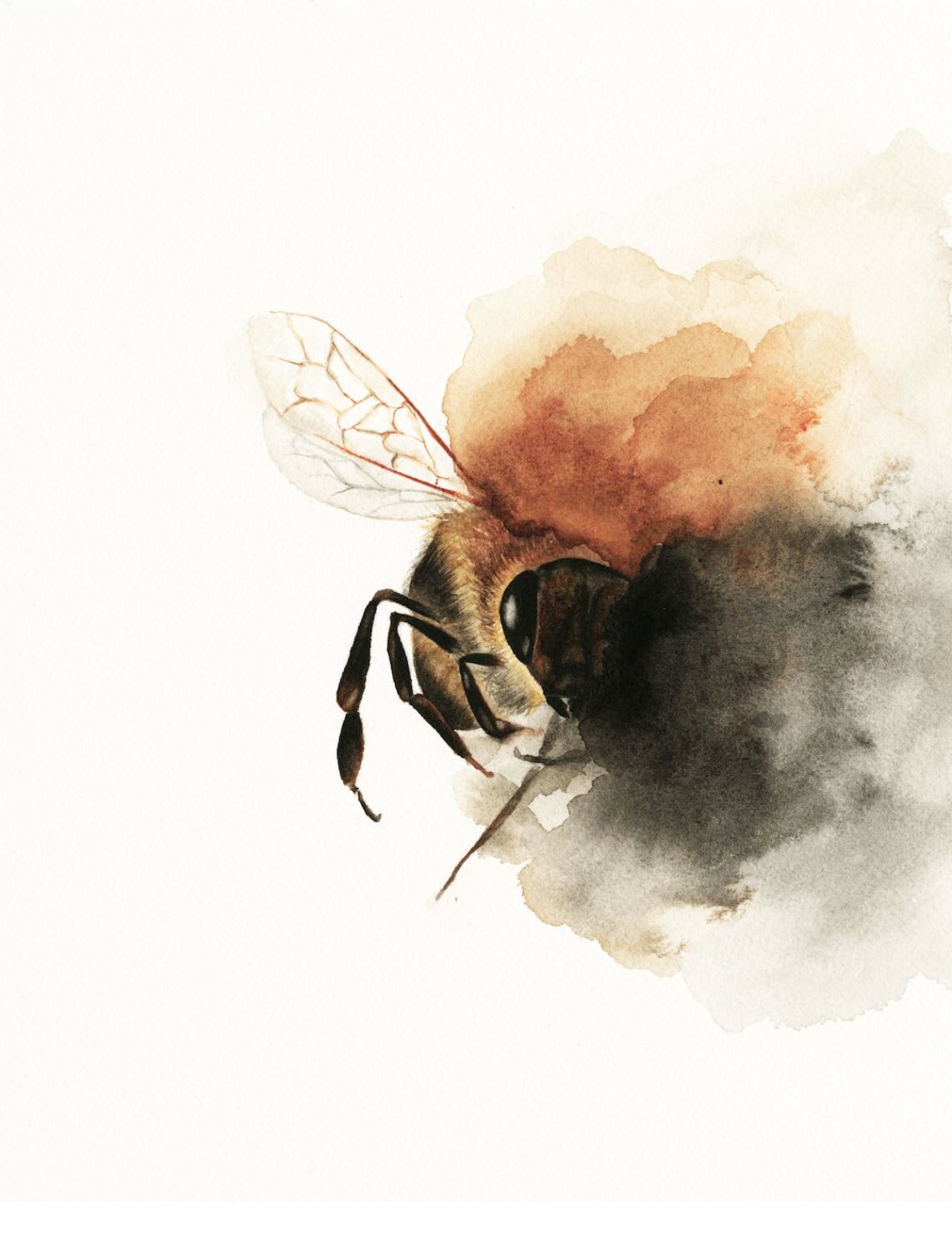 Bee Watercolor Print
