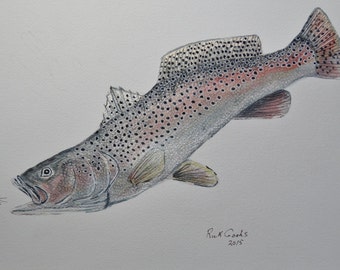 Speckled sea trout | Etsy