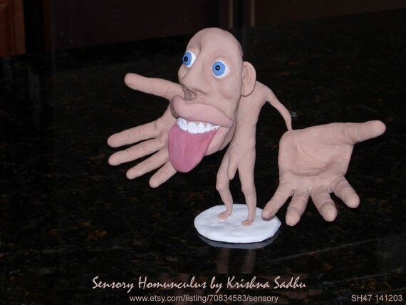 Sensory Homunculus model made to order by MatirPutul on Etsy