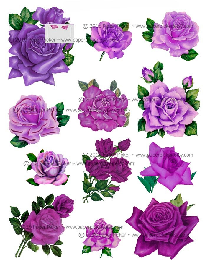 Printable Purple Roses Images Digital Collage Sheet Graphics Instant ...