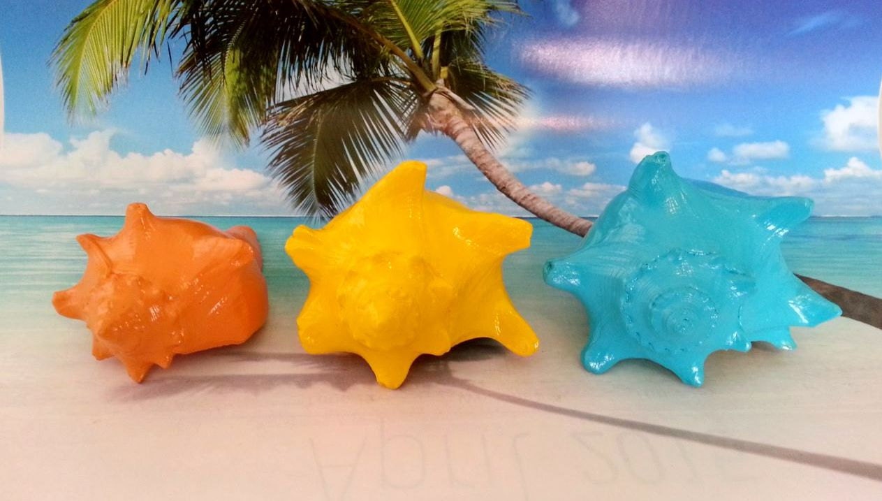 Bright colors hand painted conch shells coastal home decor