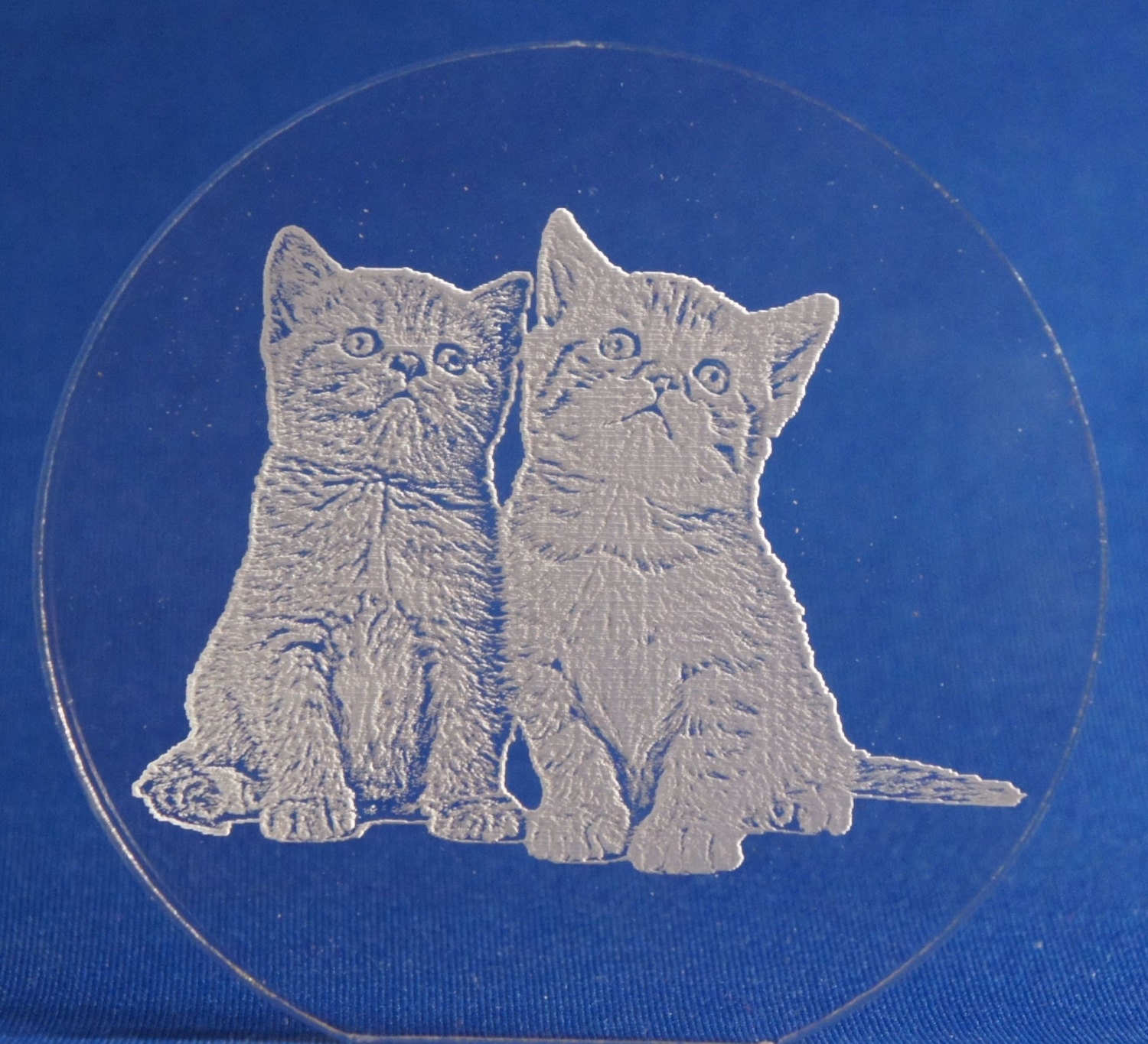 Kitten cats etched in clear glass like acrylic by personaletchings