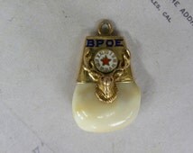 Popular items for elk teeth on Etsy