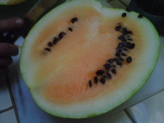 Watermelon Desert King seeds Heirloom Seeds