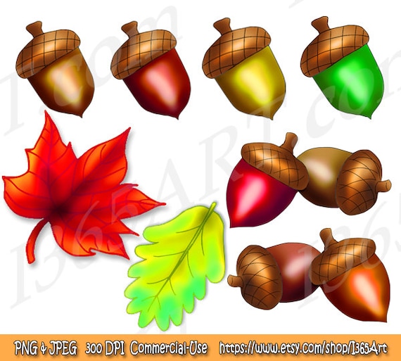 Acorn Clipart Set Acorns Fall Leaves Nature Clip Art by I365Art