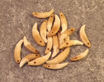 Coyote teeth | Etsy