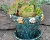Coastal Inspirations by CentralCoastCeramics on Etsy