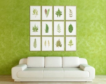 Fern wall art | Etsy