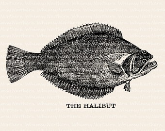 Halibut art | Etsy