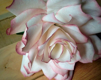 Coffee filter roses | Etsy