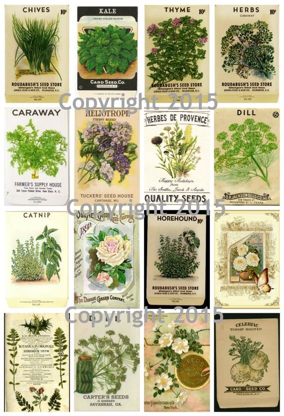 Printed Vintage Victorian Seed Packs Herbs Collage Sheet 102