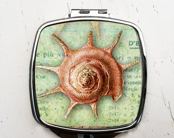 Seashell mirror | Etsy