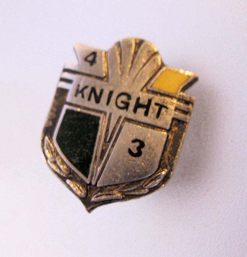Vintage Knight Shield Enamel Lapel Pin Jewelry Jewellery FREE