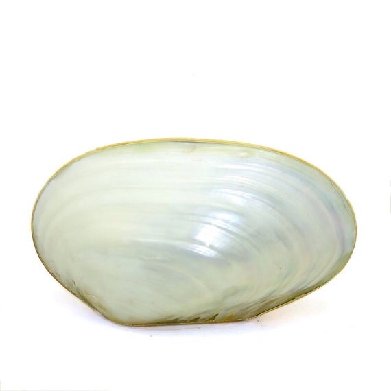 Kabebe Kabibe Shell Minaudiere / Evening by angimahinasyonnicaca