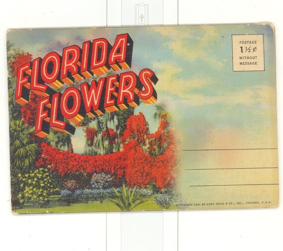 Vintage Florida Postcard Florida Flowers By Savannahsmiles4u
