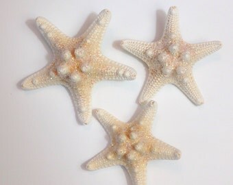 Glitter starfish | Etsy