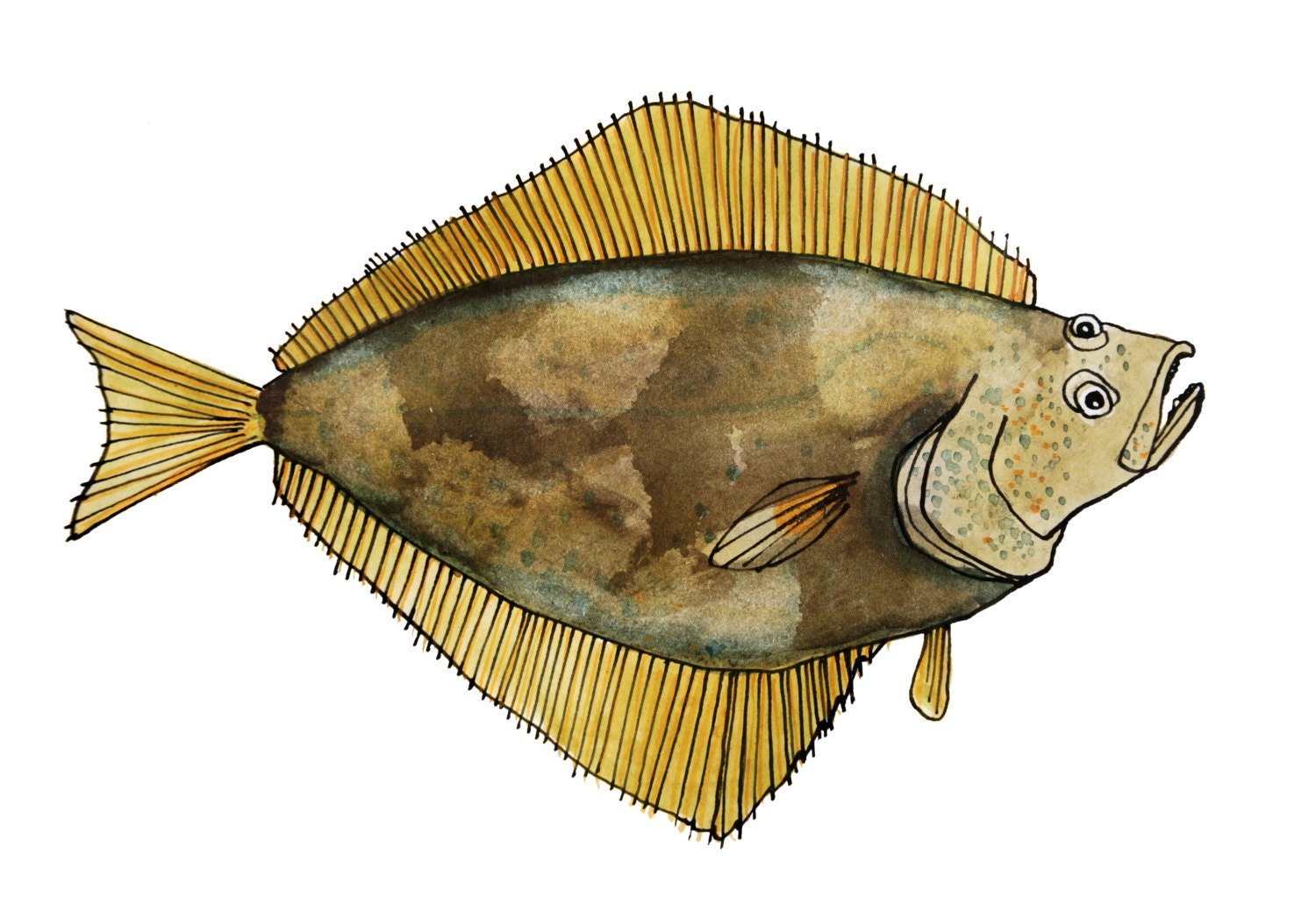 Green Watercolor Fish Flounder Print