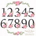 Premium Floral Numbers Clipart & Vectors Garden by AmandaIlkov