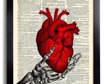 Heart Human Anatomy Butterfly Anatomical Heart by PrintsVariete