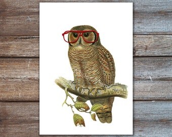 Funny owl art | Etsy