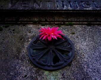 Catherine wheel | Etsy