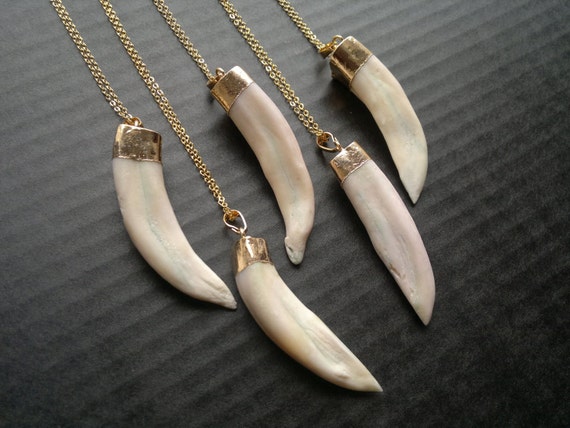 Wolf Tooth Necklace Real Tooth Jewelry Gold by SinusFinnicus