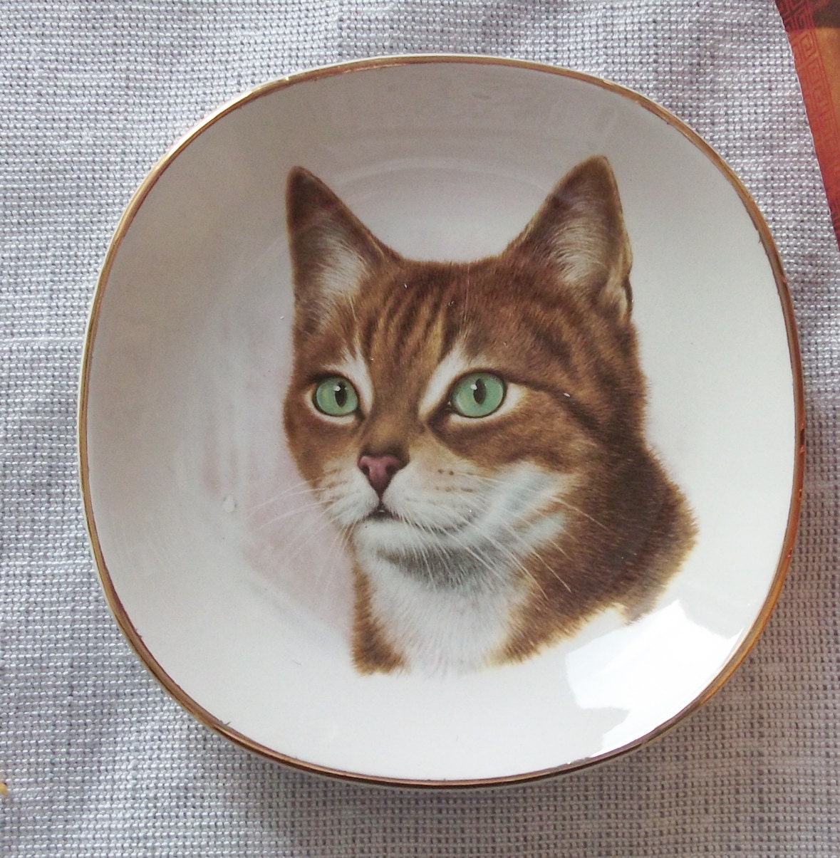 Vintage Decorative CAT Plate Dish Hanley Falcon Ware by HeartRetro
