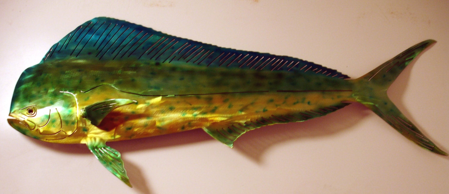 Dolphin Fish Mahi Mahi