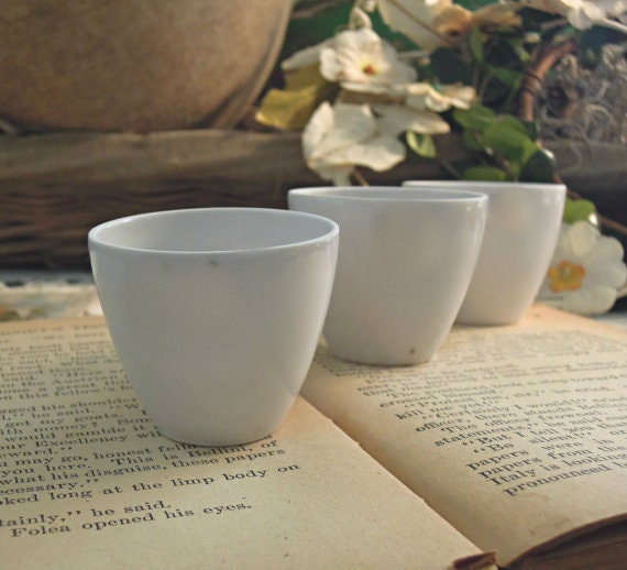 Vintage Coors Porcelain Chemistry Cups / Display / Industrial ...