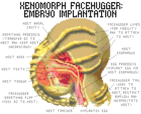 Facehugger Implantation Cross Stitch PATTERN from KnerdlyKnits on Etsy ...