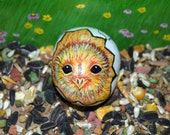 Eyes of the World Hand Painted Animal Rocks by JeannesJungle