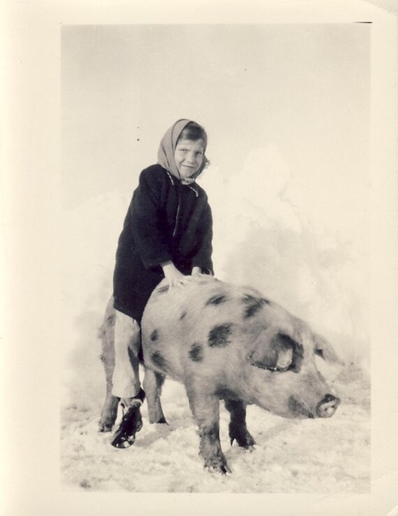 Little Rosemary Is RIDING a PIG In This Fun FARM Photo Circa