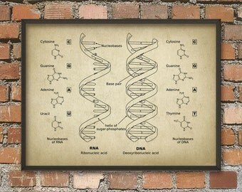 Computer Geek Wall Art Poster Set of 4 No.1 Computer Room