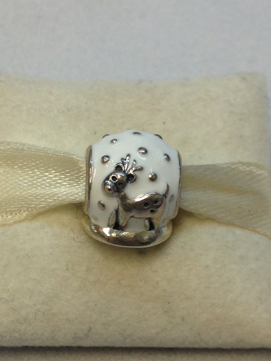 Authentic Pandora Silver Snow Globe Charm 791228EN12