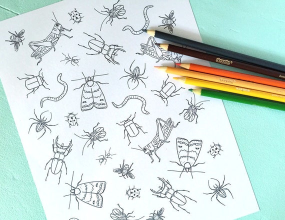 Printable CREEPY CRAWLERS/Bugs Coloring Page Digital File