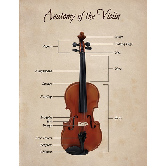 Items similar to Anatomy of the Violin-11X8.5 print on Etsy