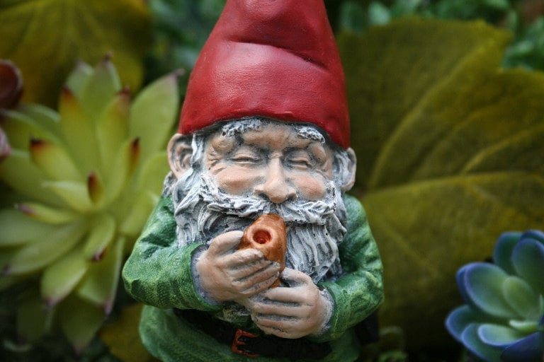 Garden Gnome Pipe Smoking Yard Gnome With Gnome Grown