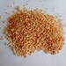 Toasted Amaranth Grains. Natural and Cooked with Honey