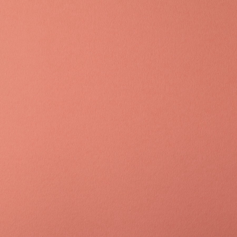 Coral 8.5x11 Cardstock Blank Do-it-Yourself