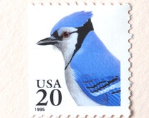 Unique vintage bird stamps related items | Etsy