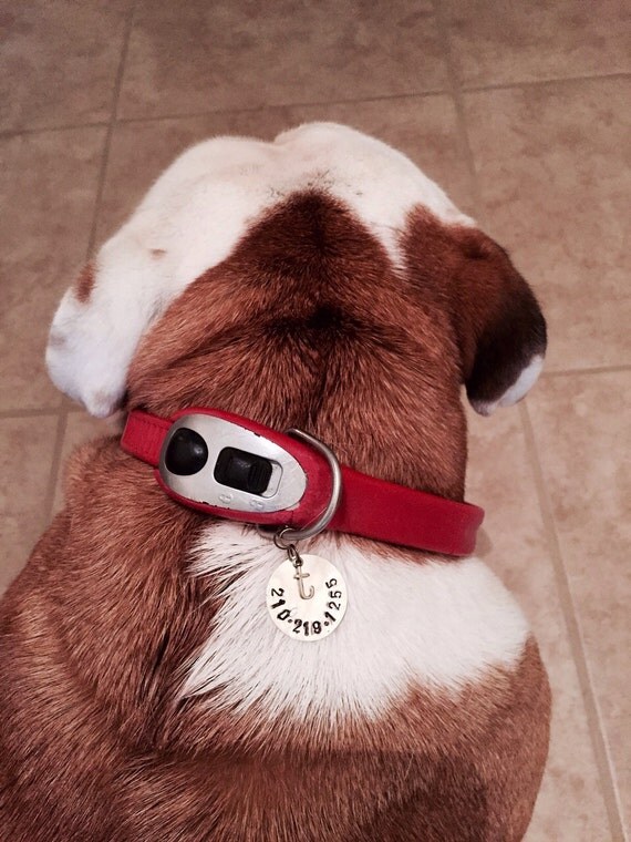 Custom Pet ID Tag By CoralsCottage On Etsy Custom Pet ID Tag By CoralsCottage On Etsy