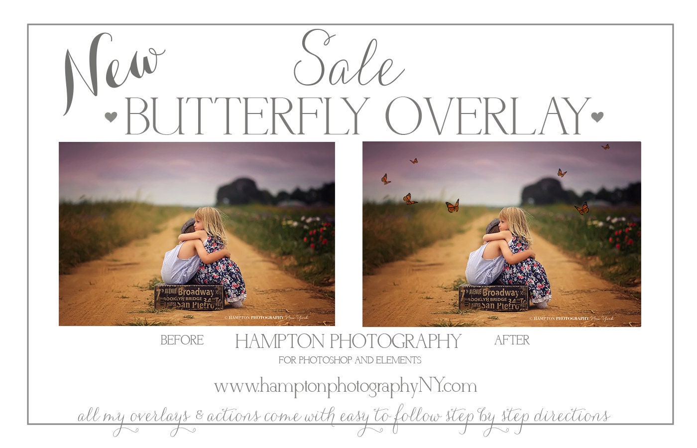Beautiful Butterfly Photoshop overlay Add a little special