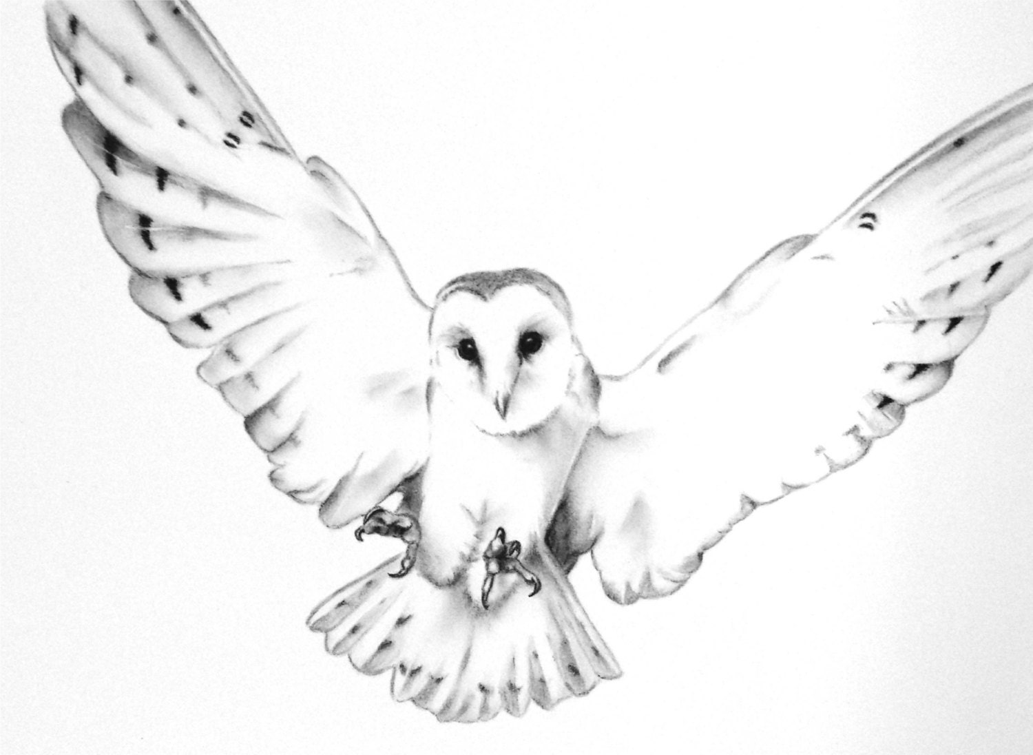 NEW HOW TO DRAW A EASY BIRD FLYING Draw