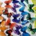24 Small Assorted Set of Edible Wafer Paper Butterflies©